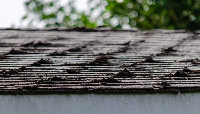 Roof shingles curling | Residential Roofing Company Calgary
